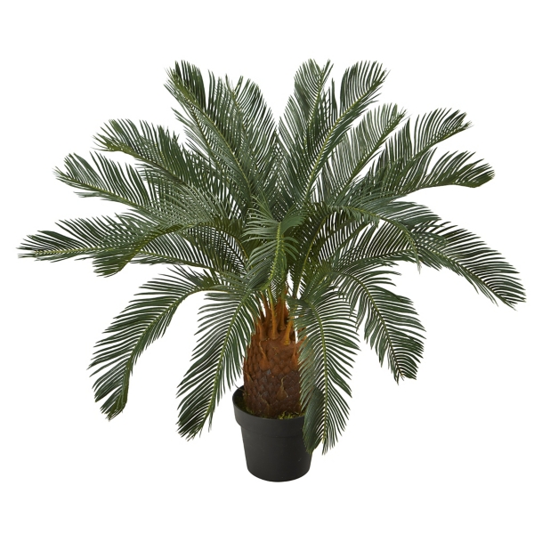 Cycas Tree in Nursery Planter | Kirklands Home