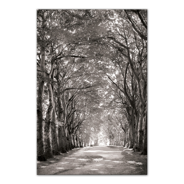 Black And White Paintings Trees