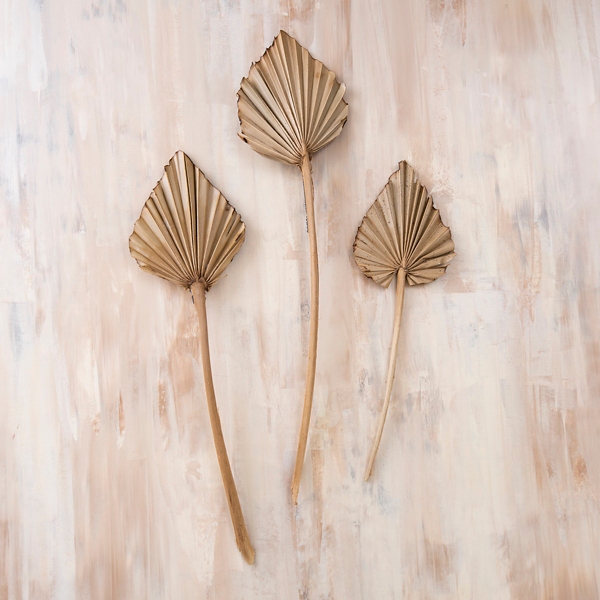 Dried Palm Leaf Art