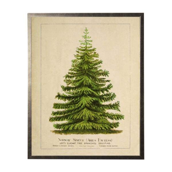 Vintage Spruce Tree Framed Art Print | Kirklands Home