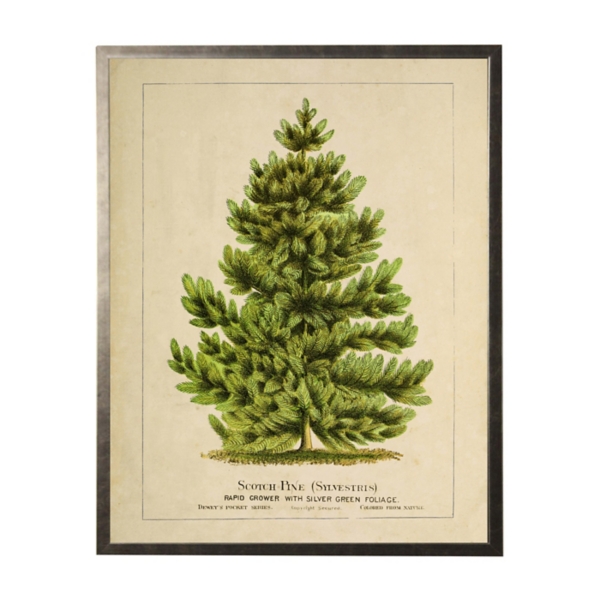 Vintage Pine Tree Framed Art Print | Kirklands Home