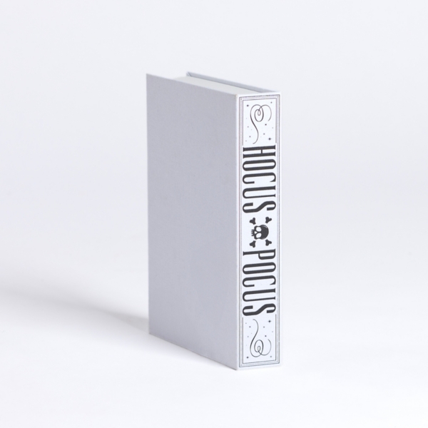 Kirklands White Hocus Pocus Bookstack Storage Box at Hamilton Place in ...