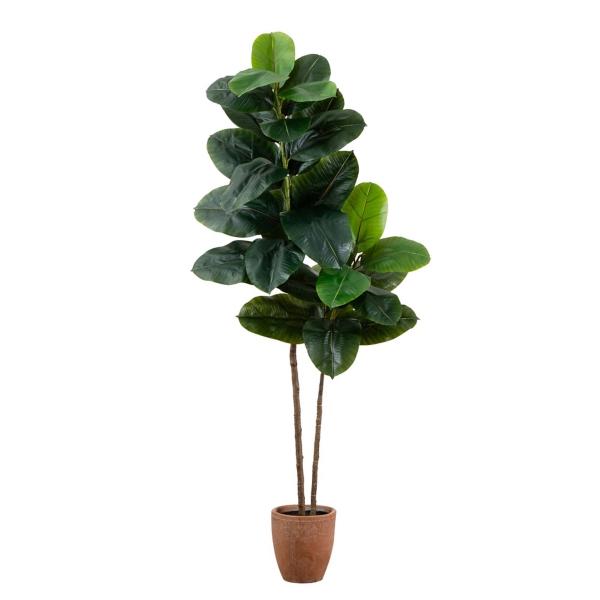 Rubberwood Tree in Planter, 6 ft. | Kirklands Home