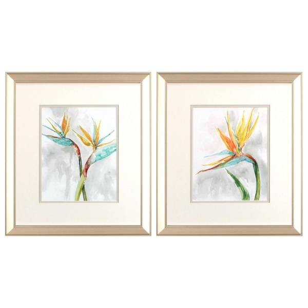 Bird of Paradise Framed Art Prints, Set of 2 | Kirklands Home