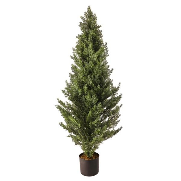 Potted Arborvitae Christmas Tree | Kirklands Home