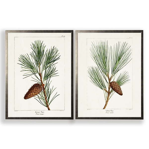 Vintage Pine Leaves Framed Art Prints, Set of 2 | Kirklands Home
