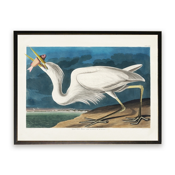 Vintage White Pelican With Fish Framed Art Print | Kirklands Home