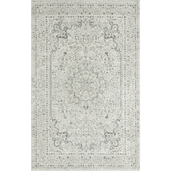 Isabella Gray and Ivory Area Rug, 4x6 | Kirklands Home