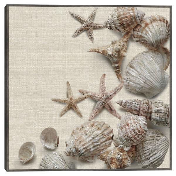 Linen Shell Collection Framed Canvas Art Print | Kirklands Home
