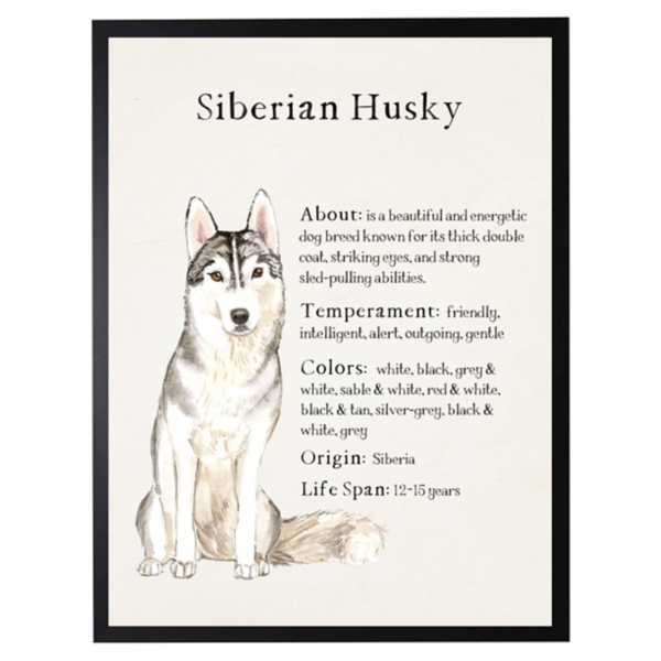 Siberian Husky Facts Framed Wall Plaque | Kirklands Home