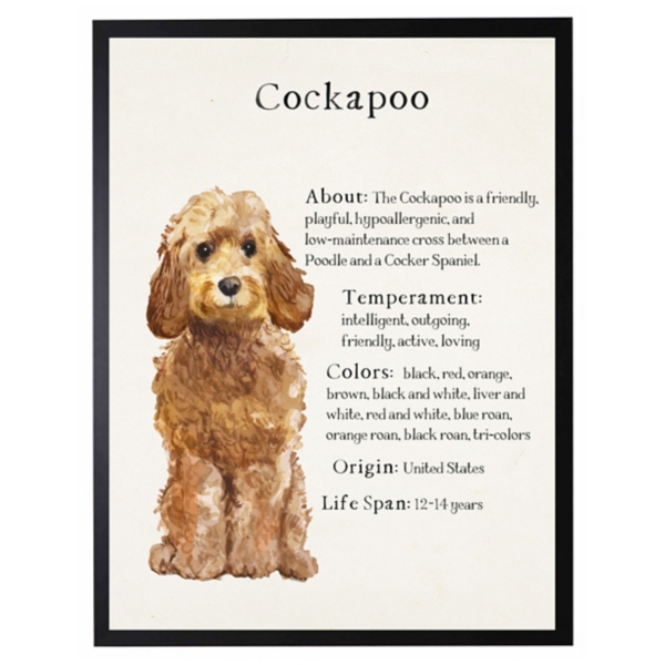 Golden Cockapoo Facts Framed Wall Plaque | Kirklands Home