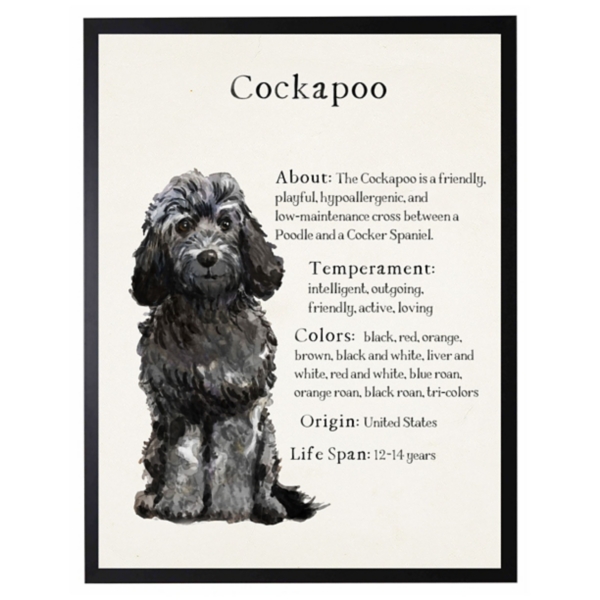 Black Cockapoo Facts Framed Wall Plaque | Kirklands Home